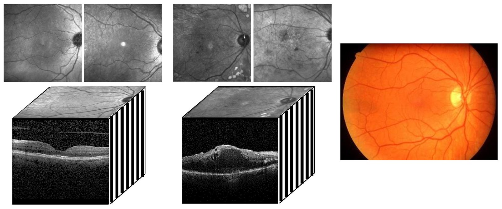 ROCC – Medical Imaging