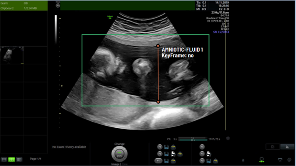 A-AFMA – Medical Imaging