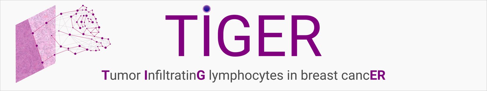 TIGER – Medical Imaging