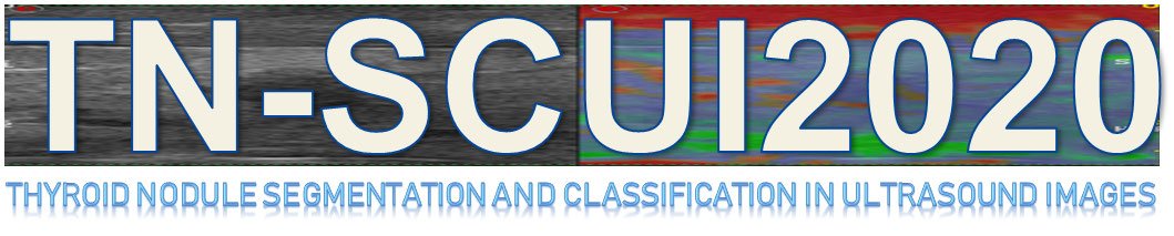 Thyroid Nodule Segmentation And Classification Medical Imaging